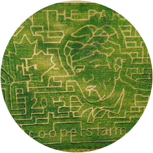 Download Finalmaze2015circle - Cooper's Csa Farm & Maze - Full Size PNG ...