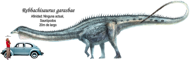 Download Rebbachisaurus Garasbae A Escala - Rebbachisaurus Garasbae ...