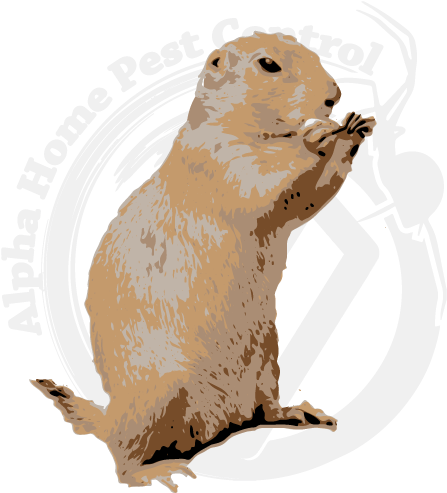 Download Gopher Image Gallery - Gopher Transparent - Full Size PNG ...