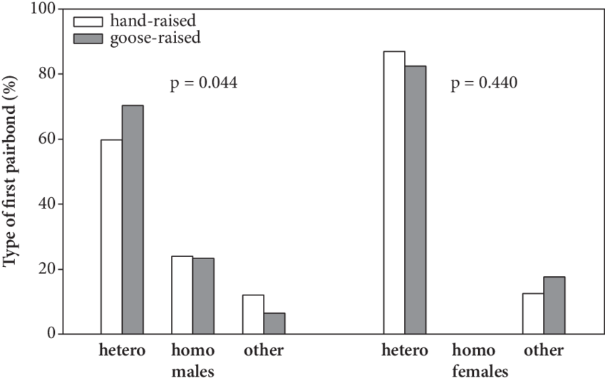 Download Type Of First Pair Bond In Hand Raised And Goose Raised ...
