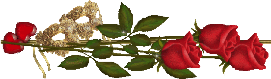 Download Red Roses Stems Large Photo Redroses - Red Roses Page Divider ...