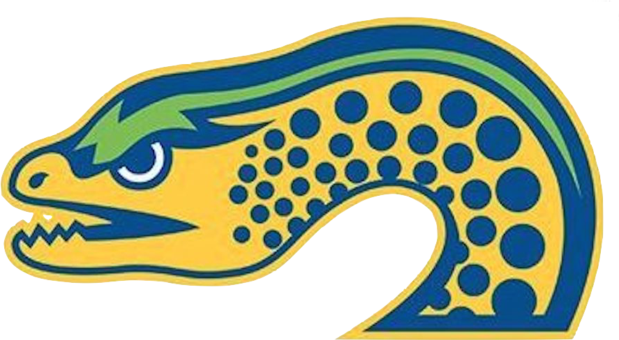Download Side Decals Eels 4 - Parramatta Nrl - Full Size PNG Image - PNGkit