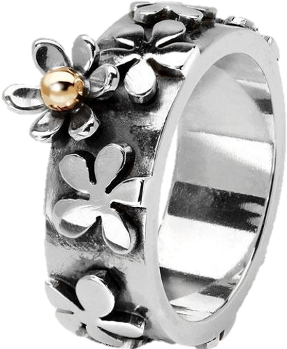 Download With The Perfect Ring, Whether You Are Looking For - Ring ...