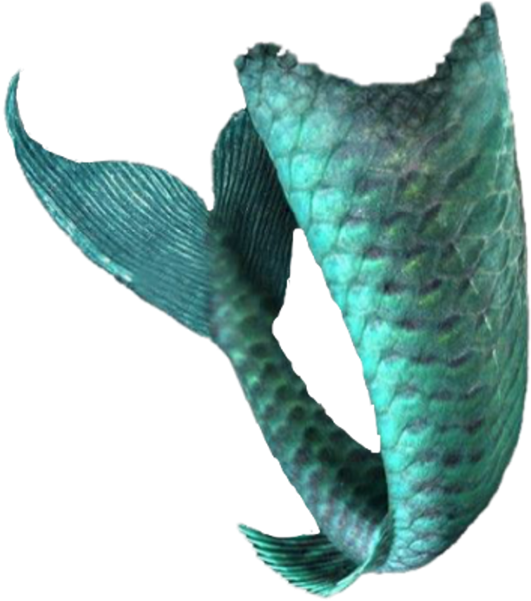 Download Mermaidtail Fishtail Tail Mermaid Siren Sirena Sirene - Full ...