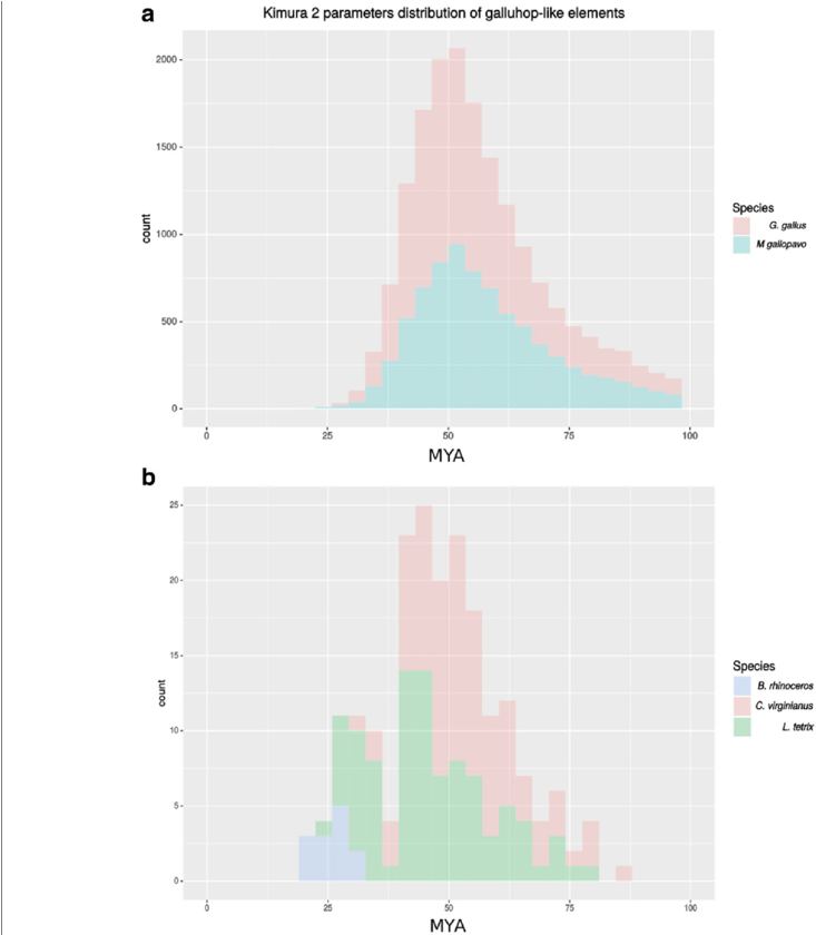 Download Amplification Dynamics Of Elements Within Each Genome ...
