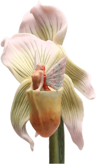 Download Lady Slipper Orchid Stem Flitty Fairy Flower - Stem Flitty ...