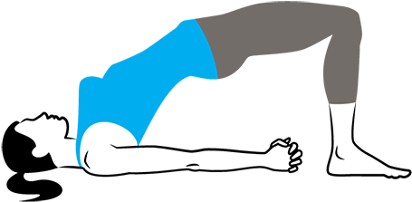 Download Bridge Pose - Bridge Pose Glutes - Full Size PNG Image - PNGkit