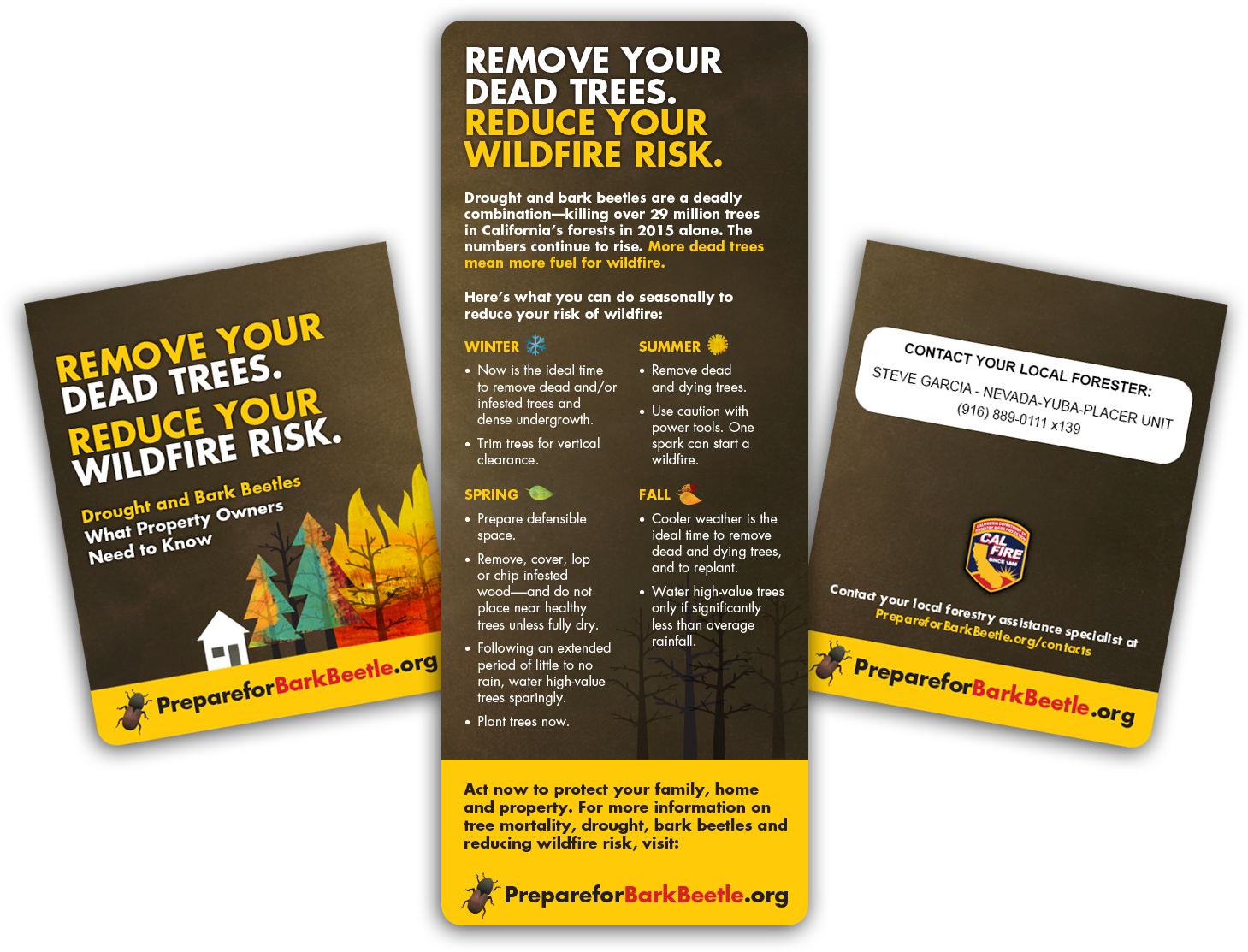 Download Tip Card - Flyer - Full Size PNG Image - PNGkit