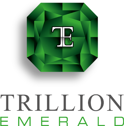 Download Real Gems Inc - Logo - Full Size PNG Image - PNGkit