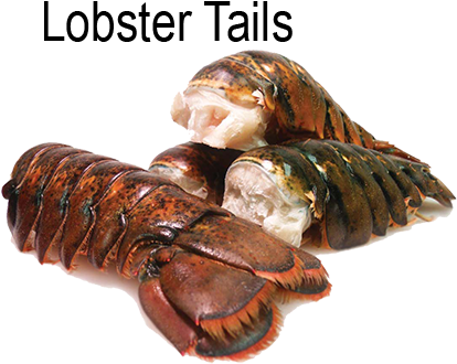 Download Products - Cold Water Raw Lobster Tails - Full Size PNG Image ...