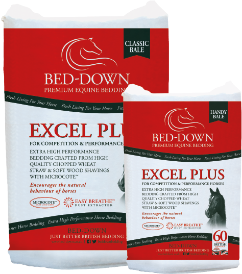 Download Bed-down Excel Plus - Microsoft Excel - Full Size PNG Image ...