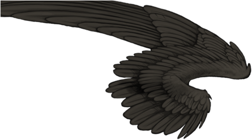 Download Bald Eagle - Full Size PNG Image - PNGkit