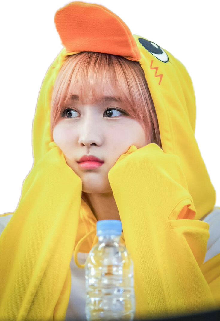 Download Transparent Momo Sticker - Pato Momo Twice - PNGkit