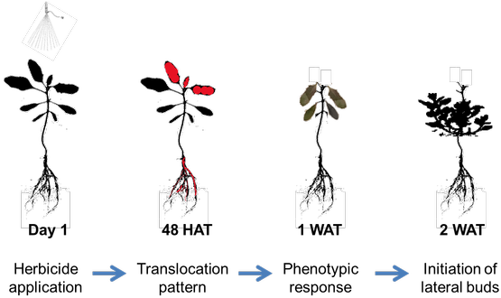 Download Attached Files - Graphic Design - Full Size PNG Image - PNGkit