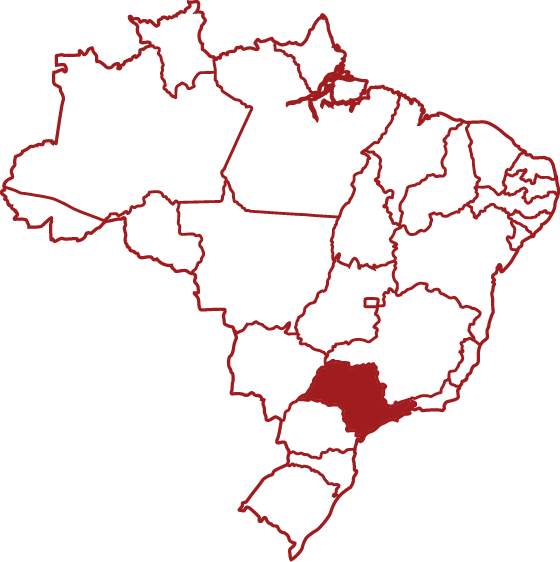 Download Nenhuma Unidade Encontrada - Brazil Blank Map - Full Size PNG ...
