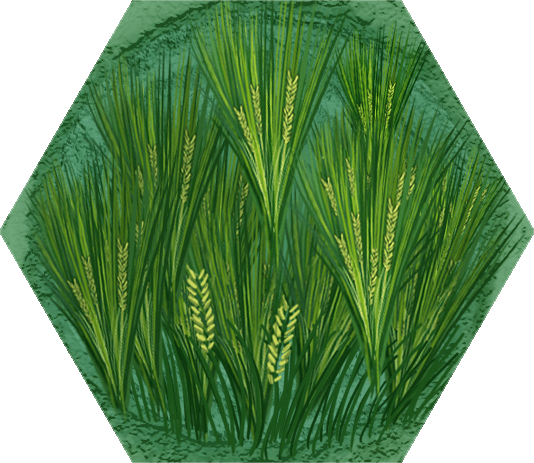 Download 20 - Sweet Grass - Full Size PNG Image - PNGkit