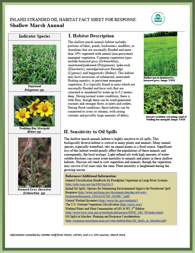 Download Download Pdf - Grass - Full Size PNG Image - PNGkit