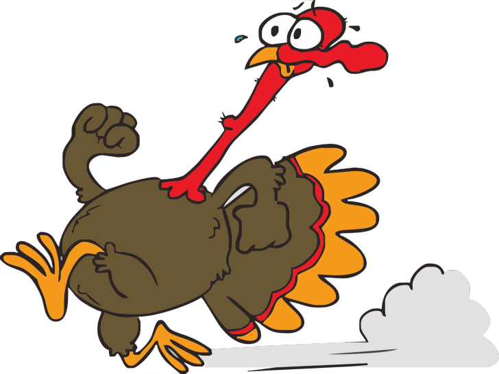 Download Funny Turkey Pictures - Running Turkey - Full Size PNG Image ...