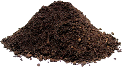 Download How To Plant Potatoes All You Need To Know About Growing ...