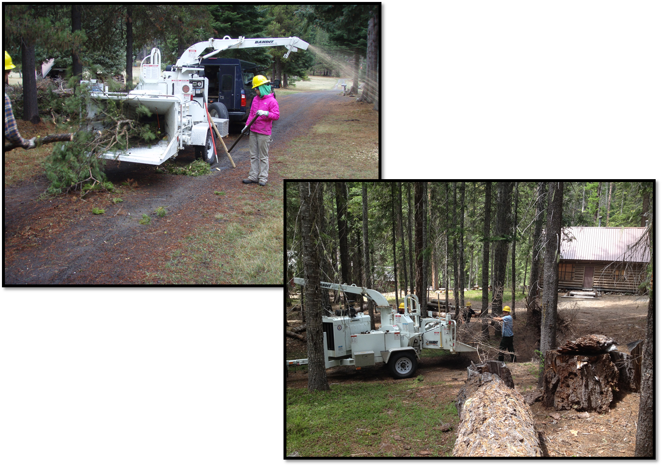 Download Finally, A Wood Chipping Crew Will Be Available To - Tree ...