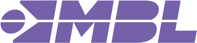 Download Mbl 2016 - Mbl Png - Full Size PNG Image - PNGkit