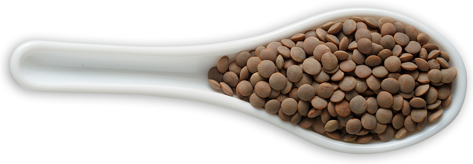 Download Red Lentils - Lentil Definition - Full Size PNG Image - PNGkit