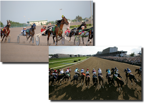 Download Full Racing Schedule Horse Racing Contests - Harness Racing ...