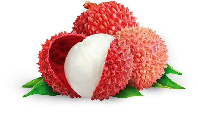 Download Lichi Png - Full Size PNG Image - PNGkit