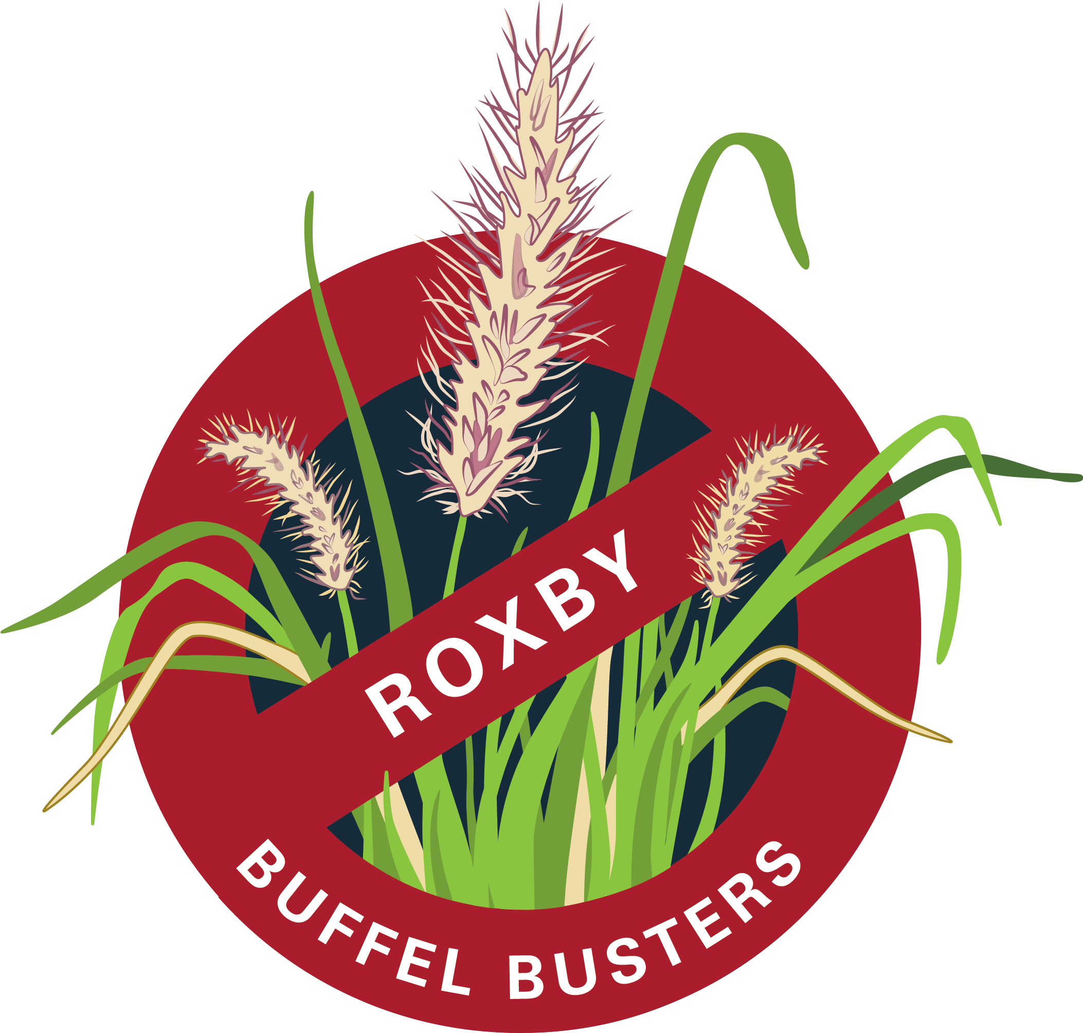Download Buffel Grass Drawing - Full Size PNG Image - PNGkit