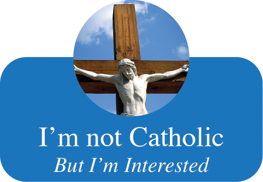 Download Notcatholic Button - Full Size PNG Image - PNGkit