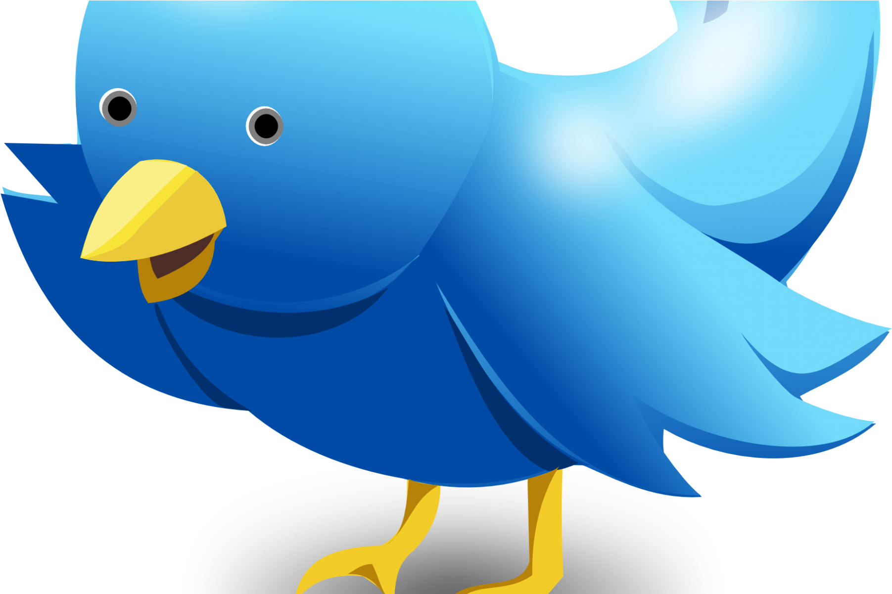 Download Twitter Anyone - Logo Twitter Bird - Full Size PNG Image - PNGkit