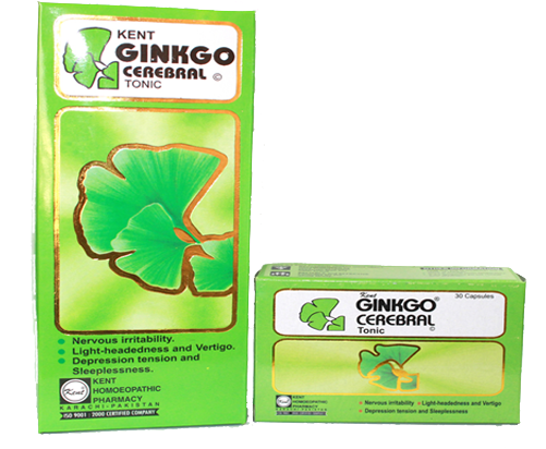 Download Ginkgo Biloba Syrup In Pakistan - Full Size PNG Image - PNGkit