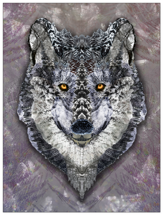 Download Wolf - Full Size PNG Image - PNGkit
