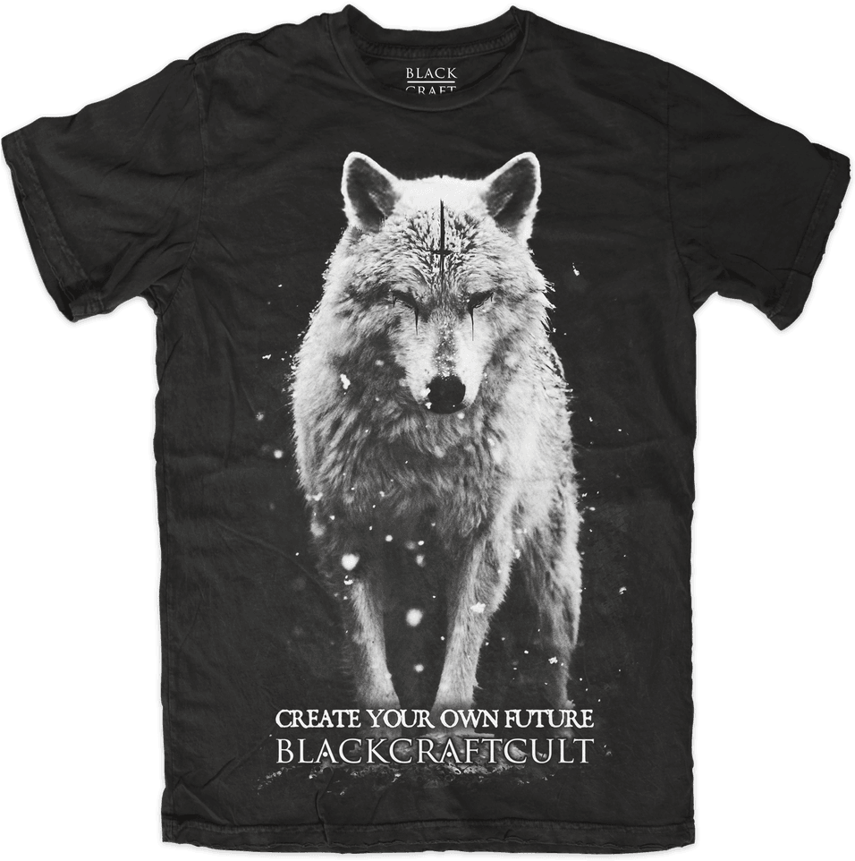 Download Baron Corbin Lone Wolf T Shirt - Full Size PNG Image - PNGkit