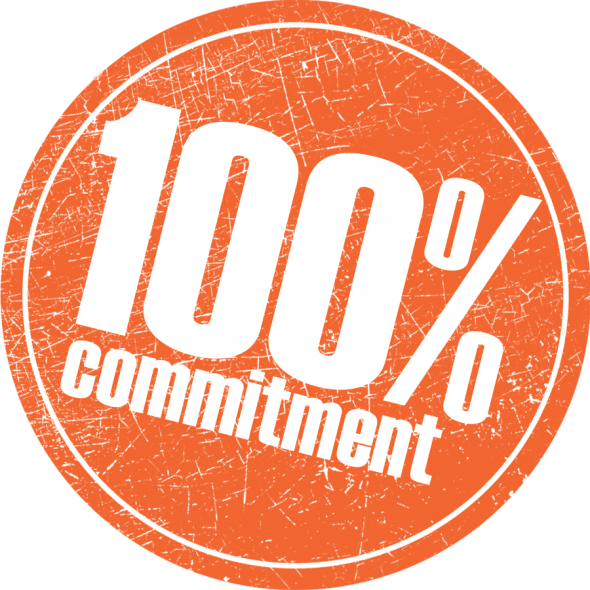 Download Learn How To Give Your 100 Percent - 100% Committed - Full ...