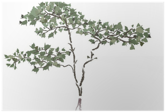 Download Chinese Tree - Full Size PNG Image - PNGkit