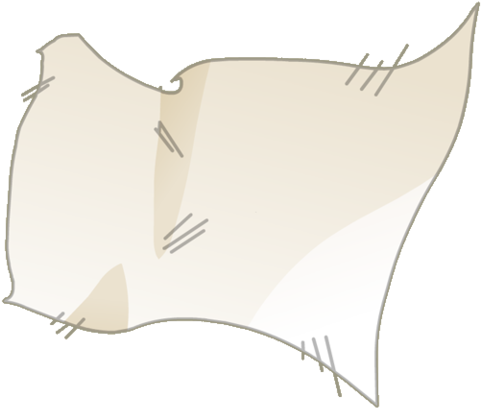 Download White Rat Skin - Illustration - Full Size PNG Image - PNGkit