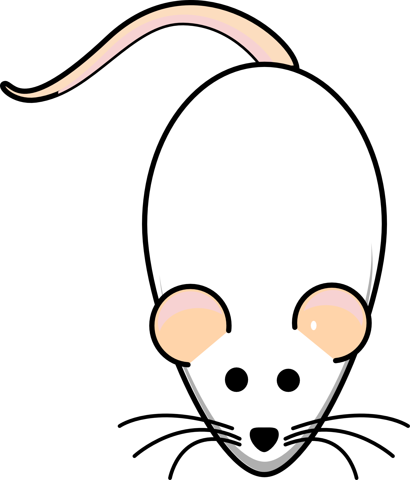 Download Rat Mouse White Albino Animal - Gambar Animasi Tikus Putih ...