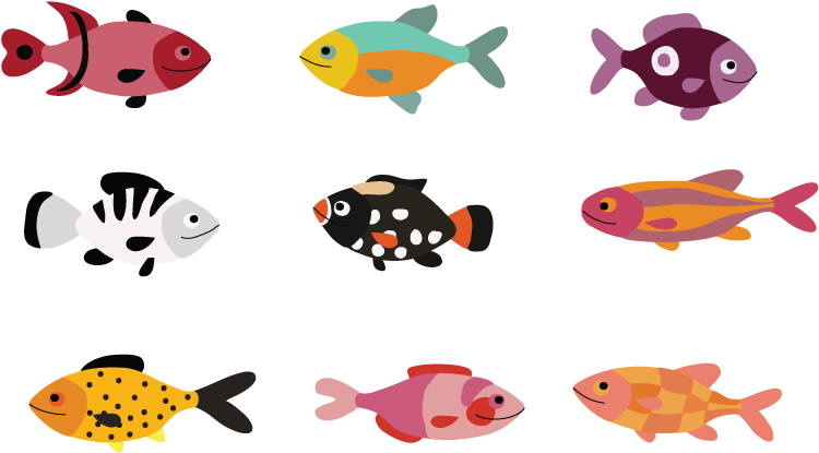 Download Individual Fish Sample Chelsea Lemon - Coral Reef Fish - Full ...