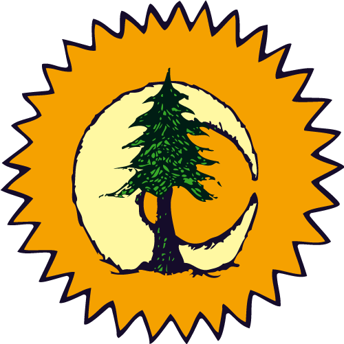 Download Sun Moon - Pine Tree Tattoo - Full Size PNG Image - PNGkit