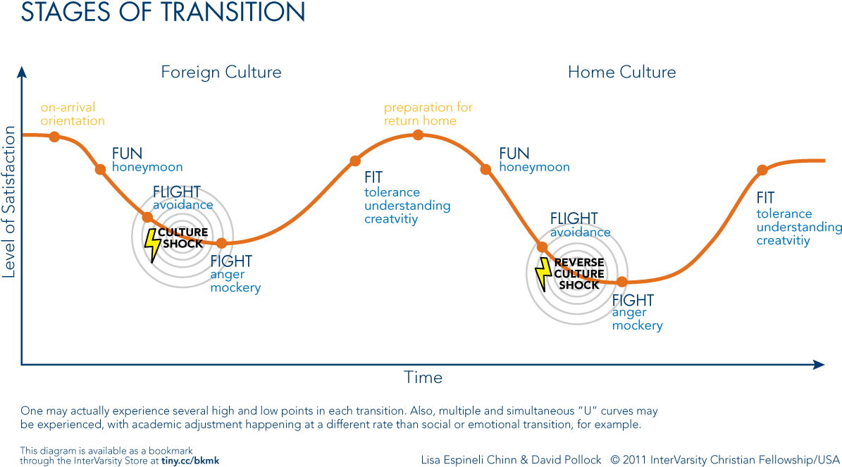 Download Stages Of Transition Lightbkgrd - Graph Of Student Transition ...