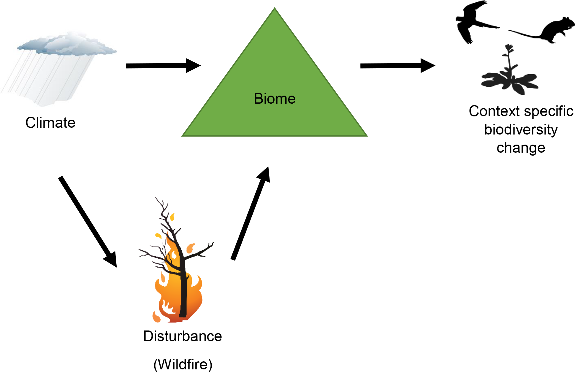 Download Graphical Abstract - Diagram - Full Size PNG Image - PNGkit