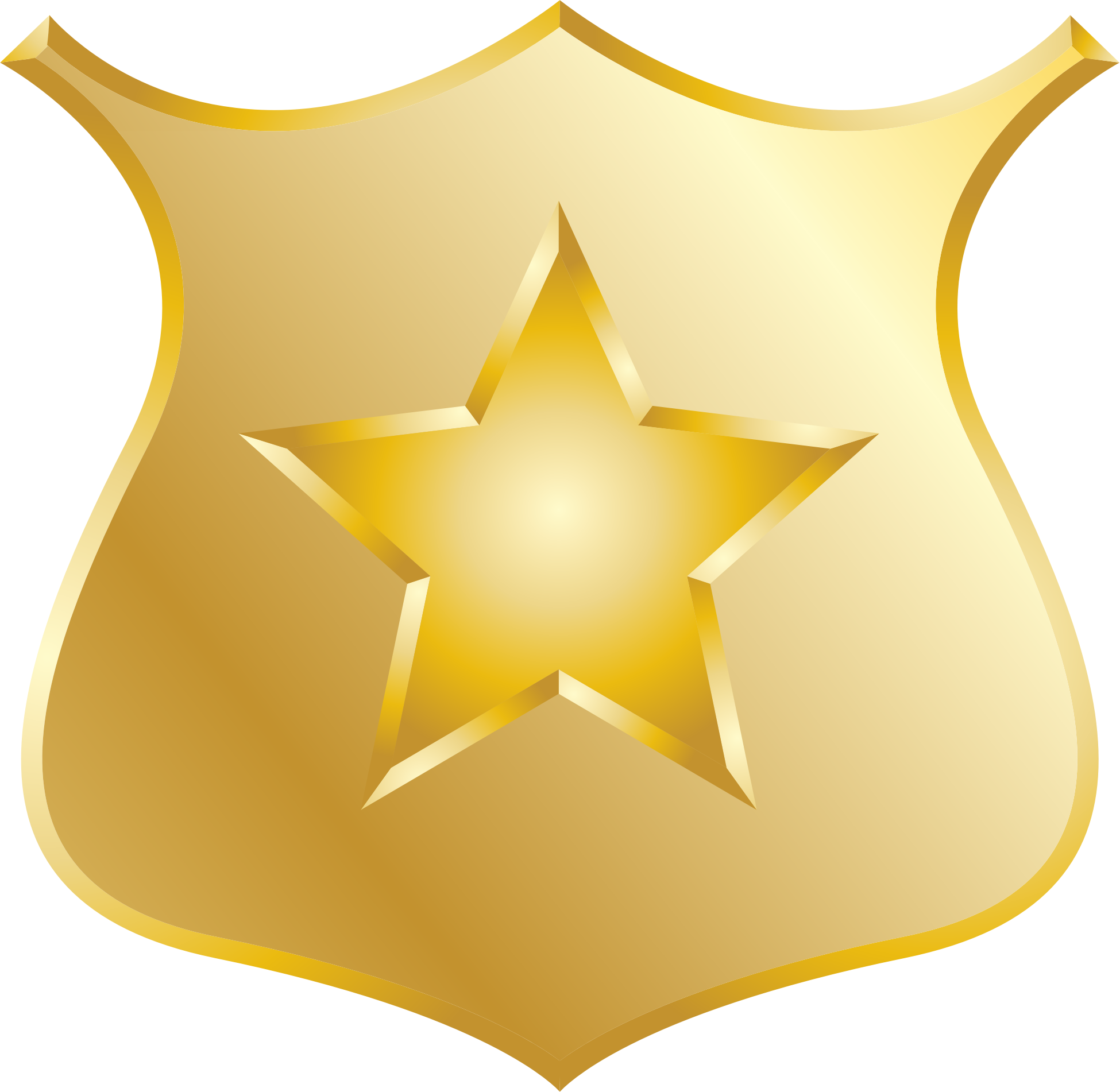 Download Gold Police Badge Icon - Shield - Full Size PNG Image - PNGkit