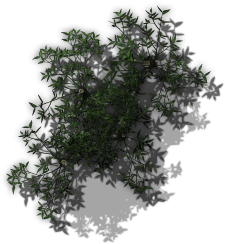 Download Qebf Night Bamboo Stand 3 - Moss - Full Size PNG Image - PNGkit