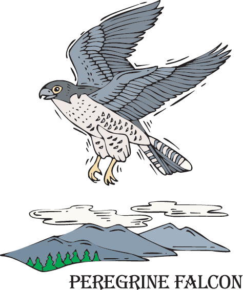 Download The Peregrine's Journey - Science - Full Size PNG Image - PNGkit