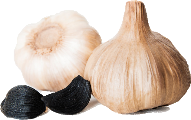 Download Ajo Negro Español Spanish Black Garlic - Garlic - Full Size ...