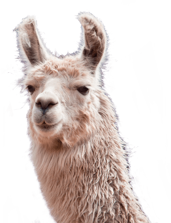 Download Студия По Созданию И Разработке Сайтов - World Wide Web - Full ...