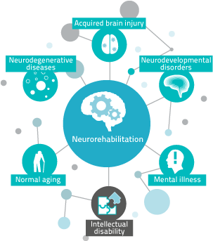 Download Intellectual Disability - Full Size PNG Image - PNGkit