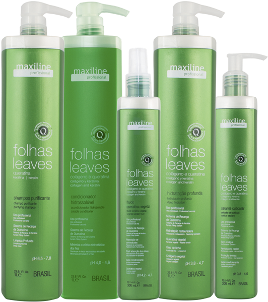 Download Folhas Profissional - Produtos Da Maxiline - Full Size PNG ...