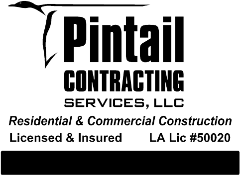 Download Pintail - Poster - Full Size PNG Image - PNGkit